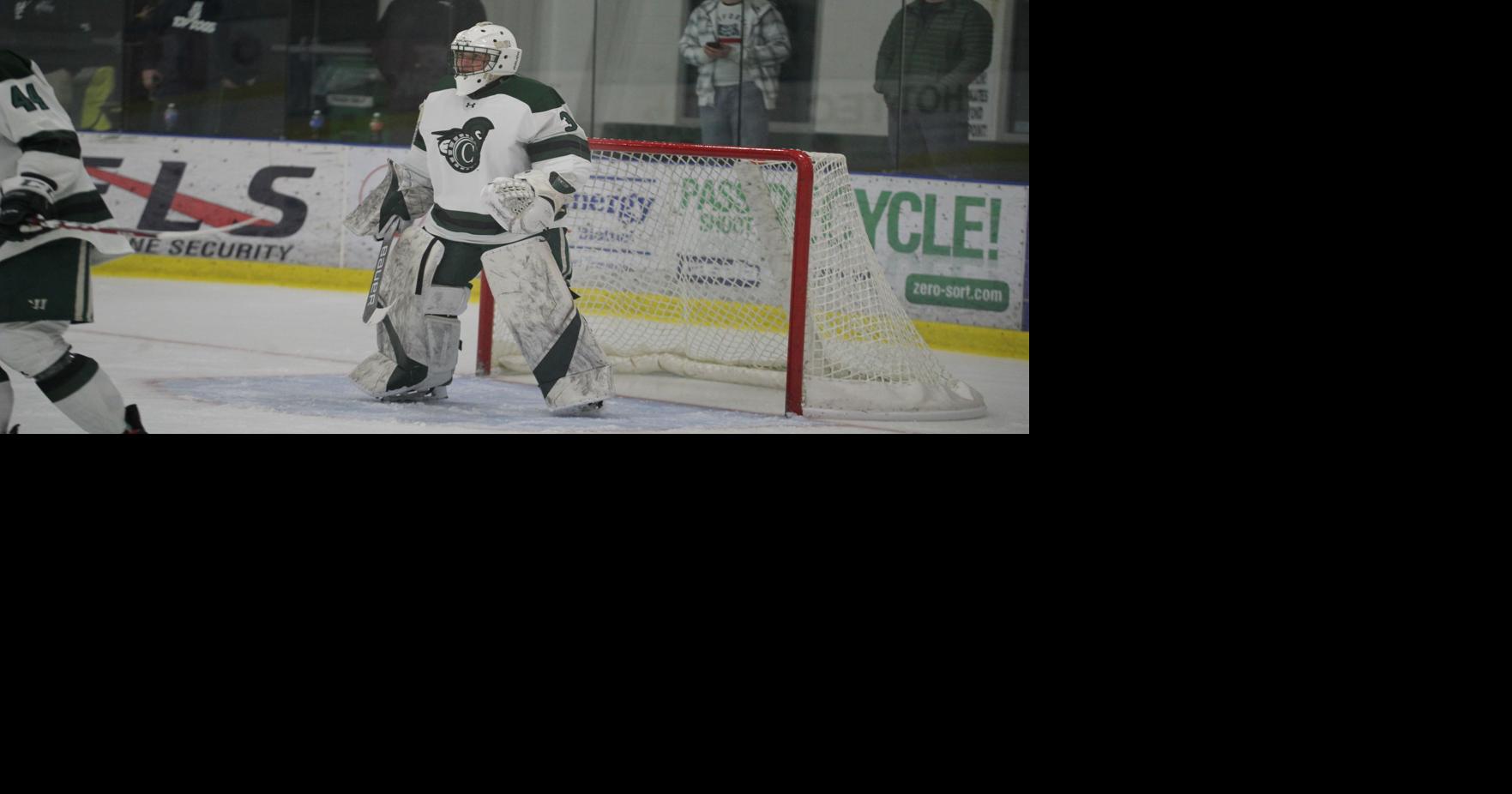 Alaverdy's strange holiday break | Local | rutlandherald.com