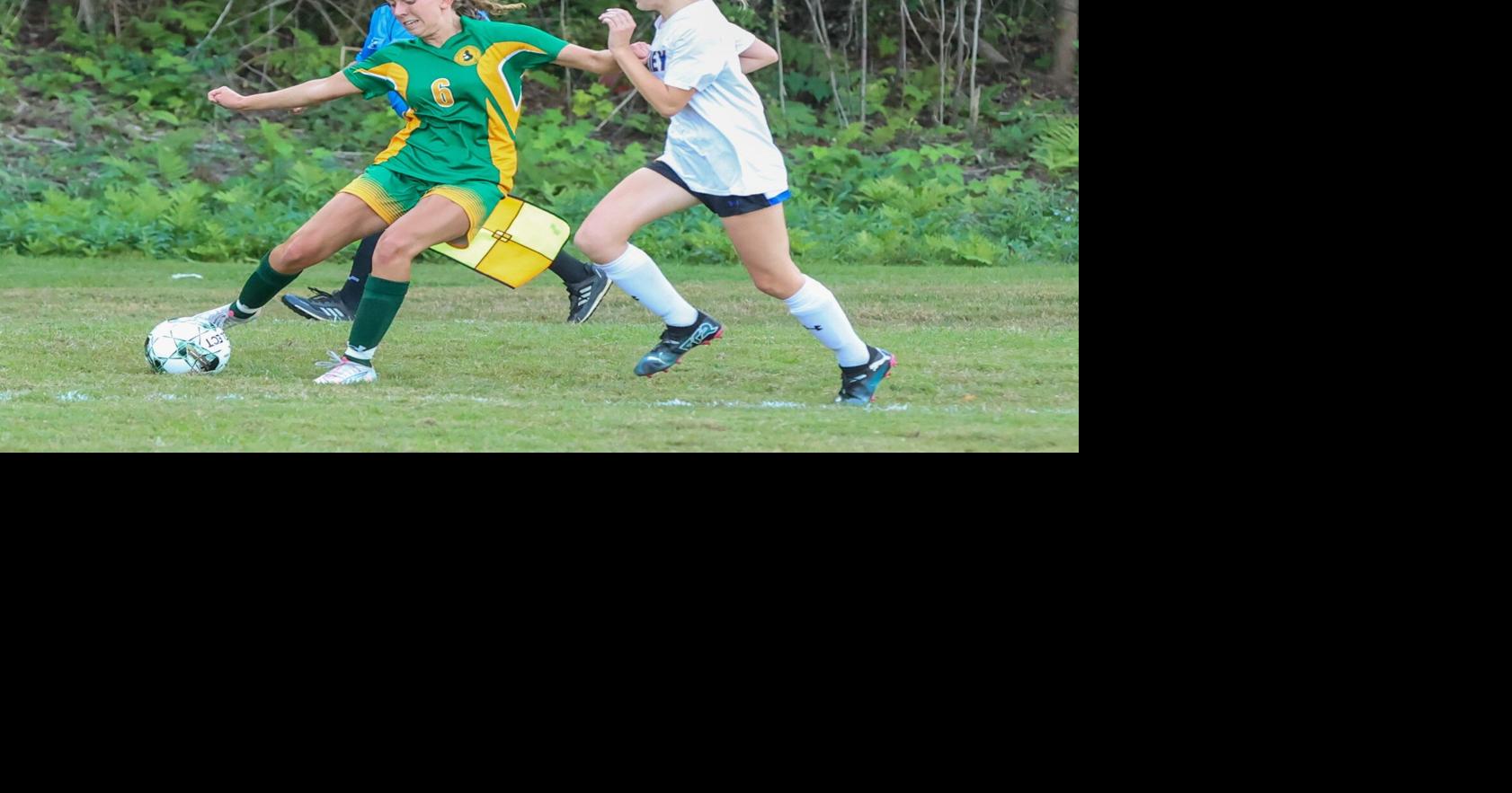 VSCA announces all-state teams | Local | rutlandherald.com