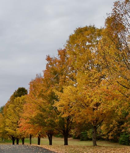 Orange October | Snapshots | rutlandherald.com