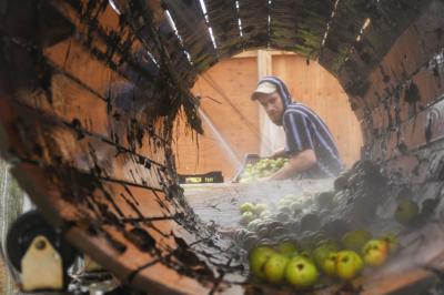 Penny-Stroop: Excessive ag laws | Perspective | rutlandherald.com