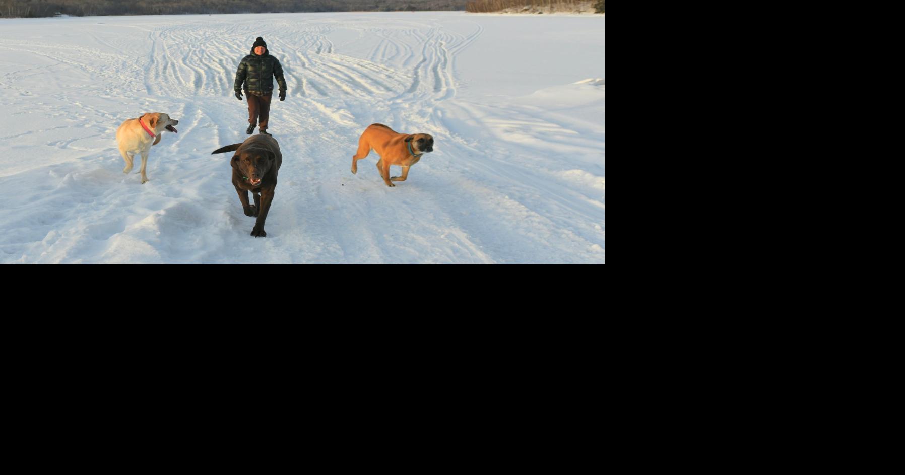 Dogs on ice | Local Photos | rutlandherald.com