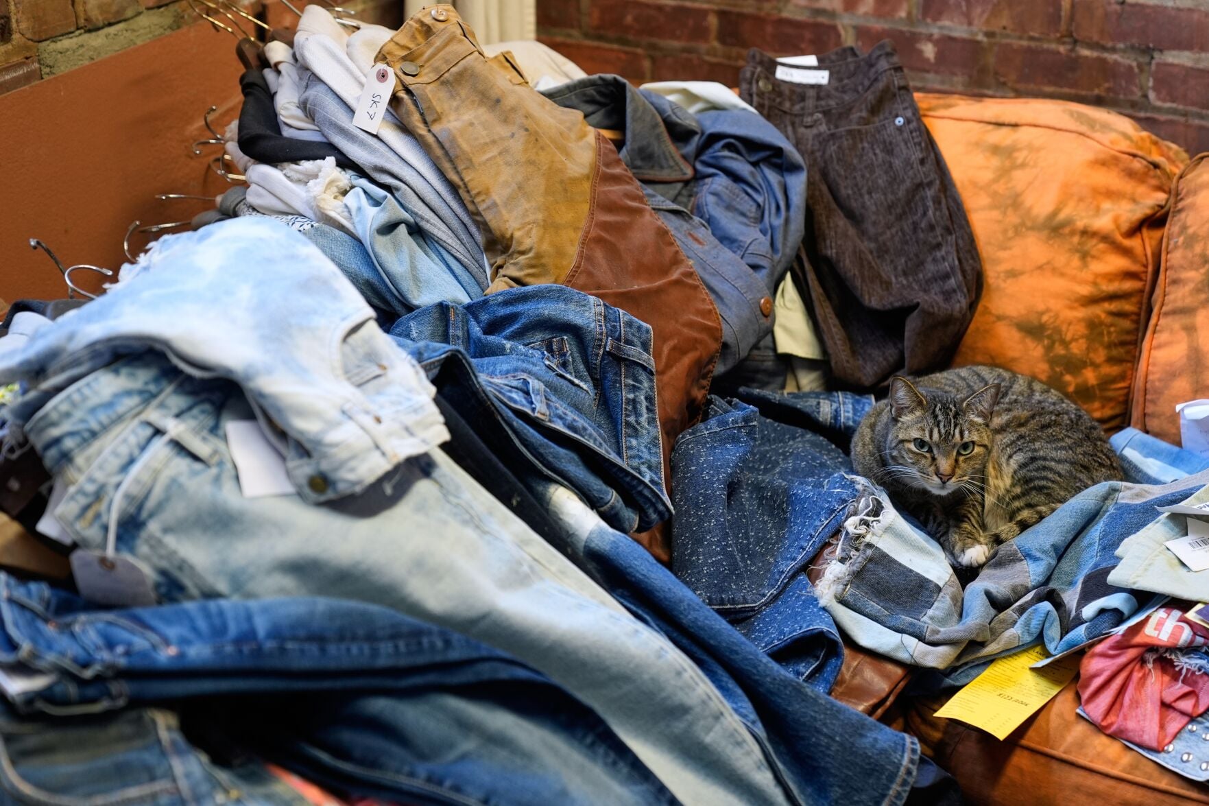 Climate Choices Sustainable Denim | Ap | rutlandherald.com
