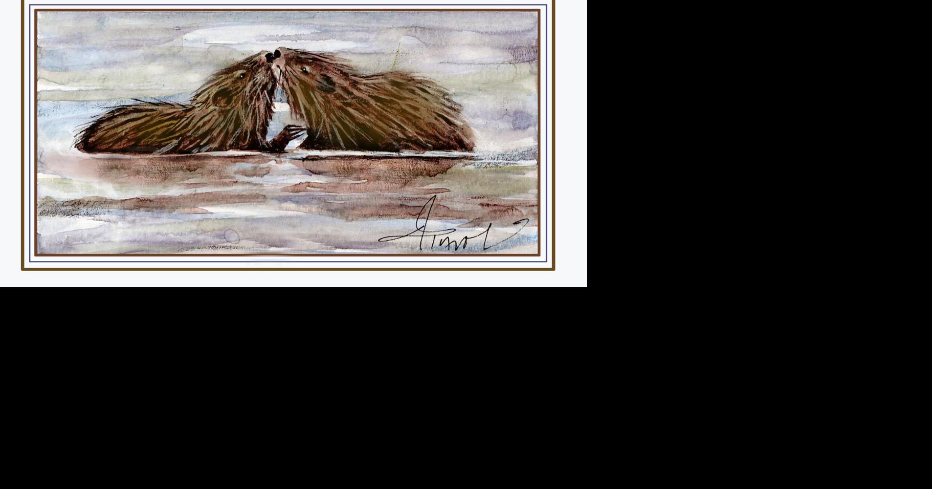 The Outside Story: Mating rituals of muskrats | Weekend Magazine ...