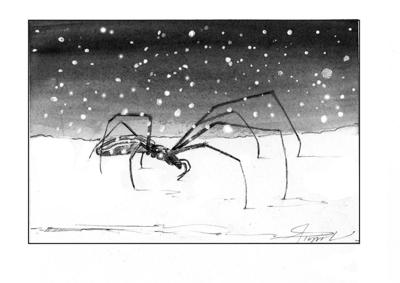 The Outside Story: Snow spiders are rule-breakers | Weekend Magazine ...
