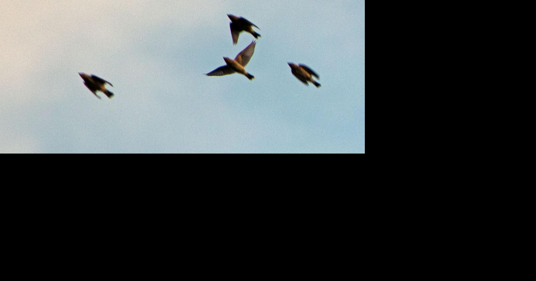 Rutland Herald Community News | Community | rutlandherald.com