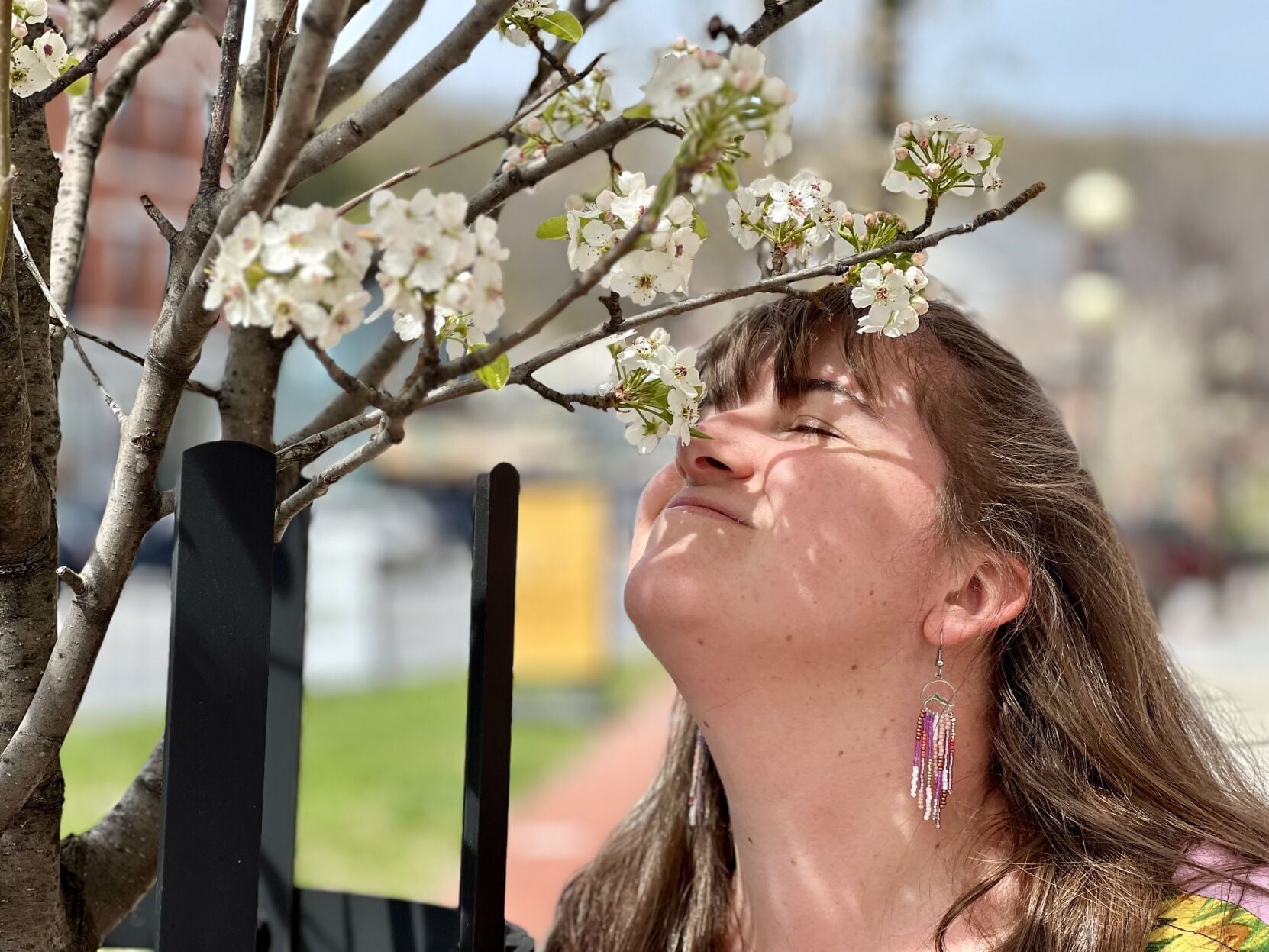 Spring fragrance | Snapshots | rutlandherald.com