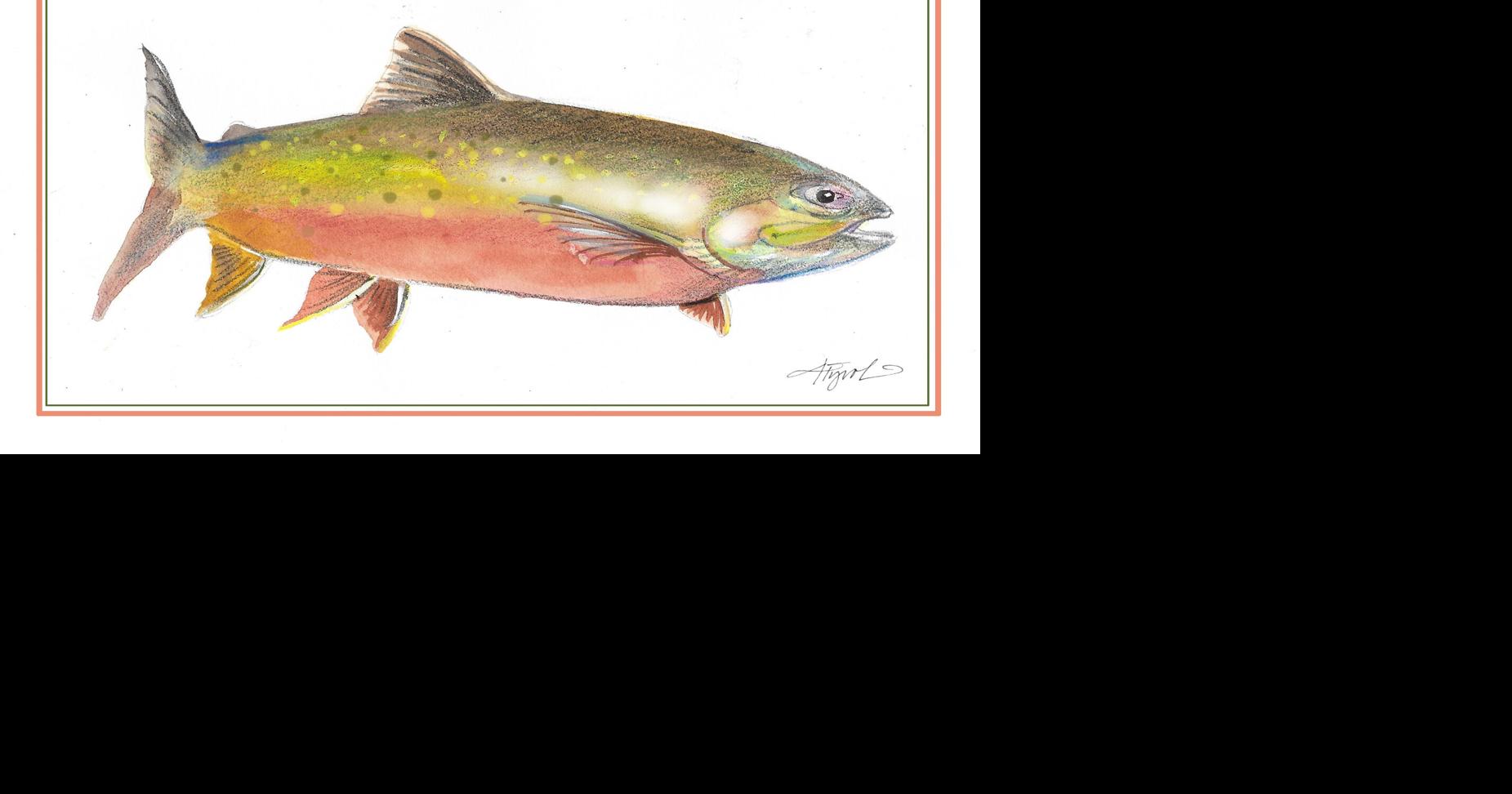 The Outside Story: Saga of Sunapee trout (aka Arctic charr) | Weekend ...