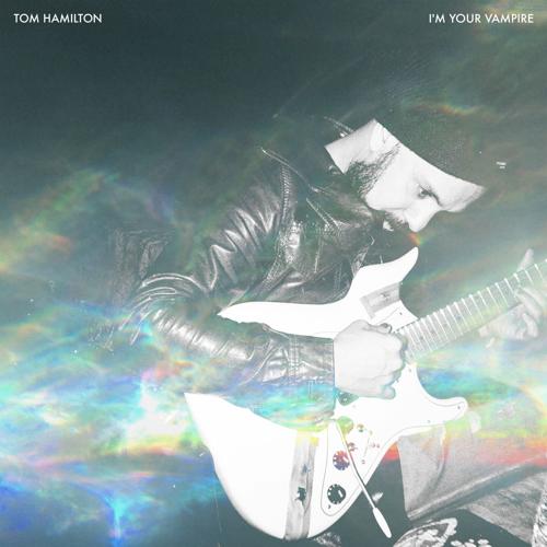 ‘I’m Your Vampire’: Versatile Tom Hamilton serves up distinctive solo ...