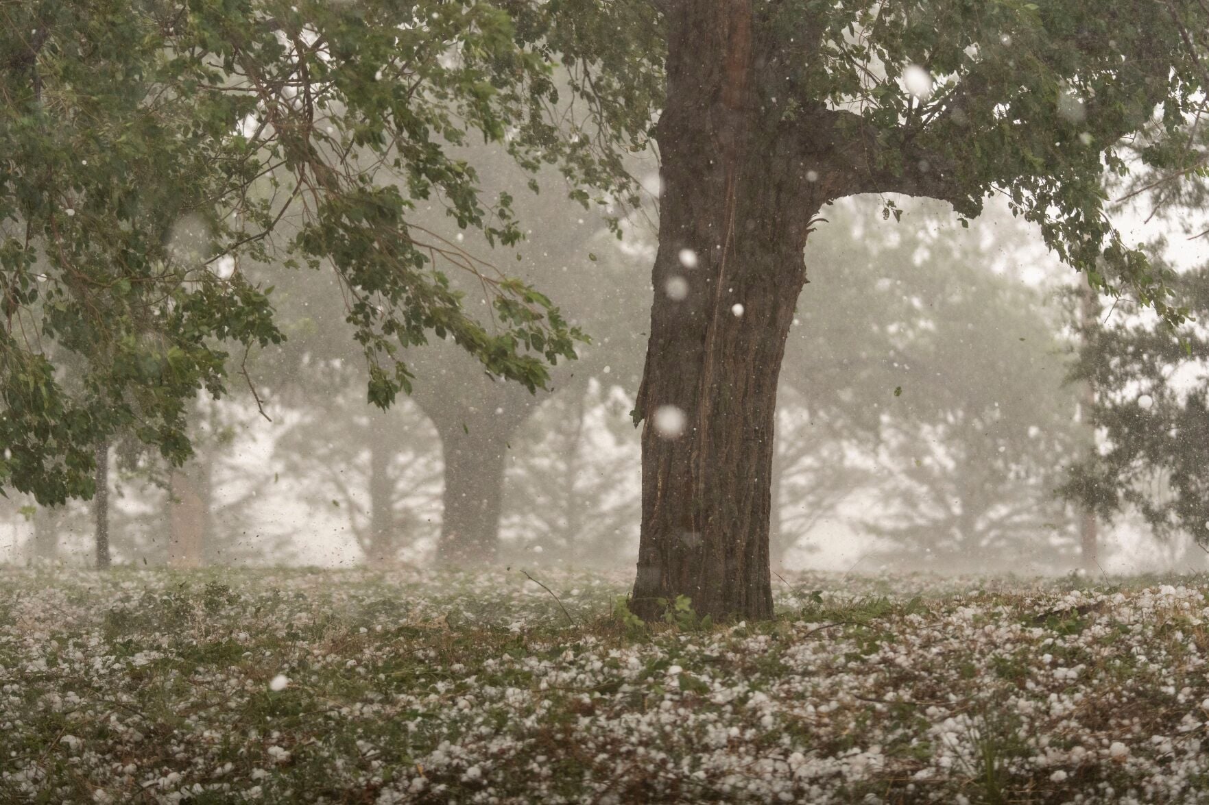 Climate Hailstone Changes | Ap | rutlandherald.com