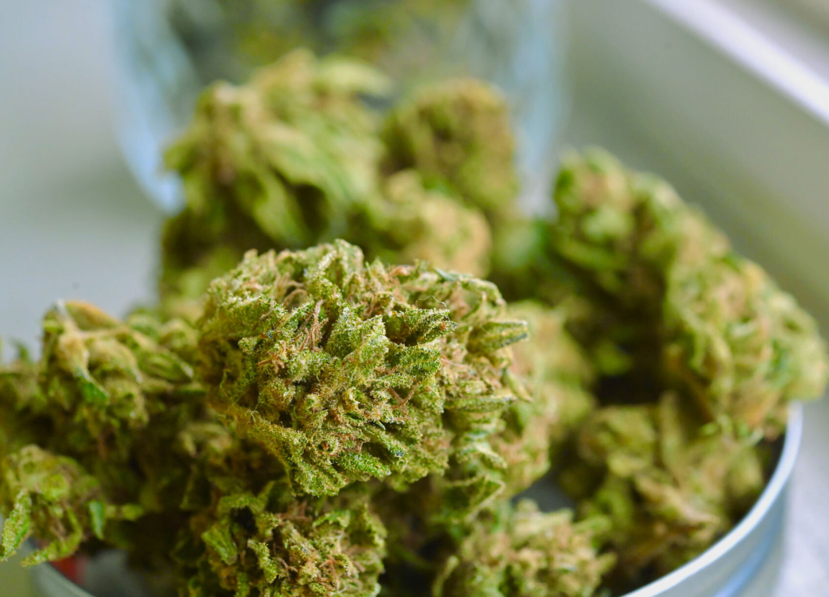 What’s in the cannabis plant? | Local News | rutlandherald.com