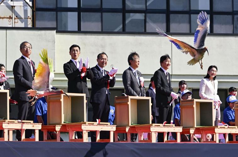 8 crested ibises released in Japanese town decades after extinction in ...