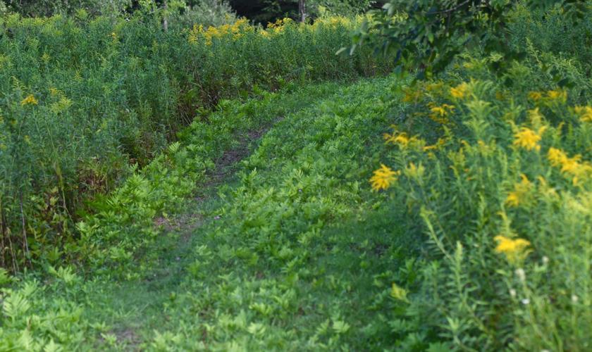 Breaking trails: Slate Valley Trails to open latest extension | News ...