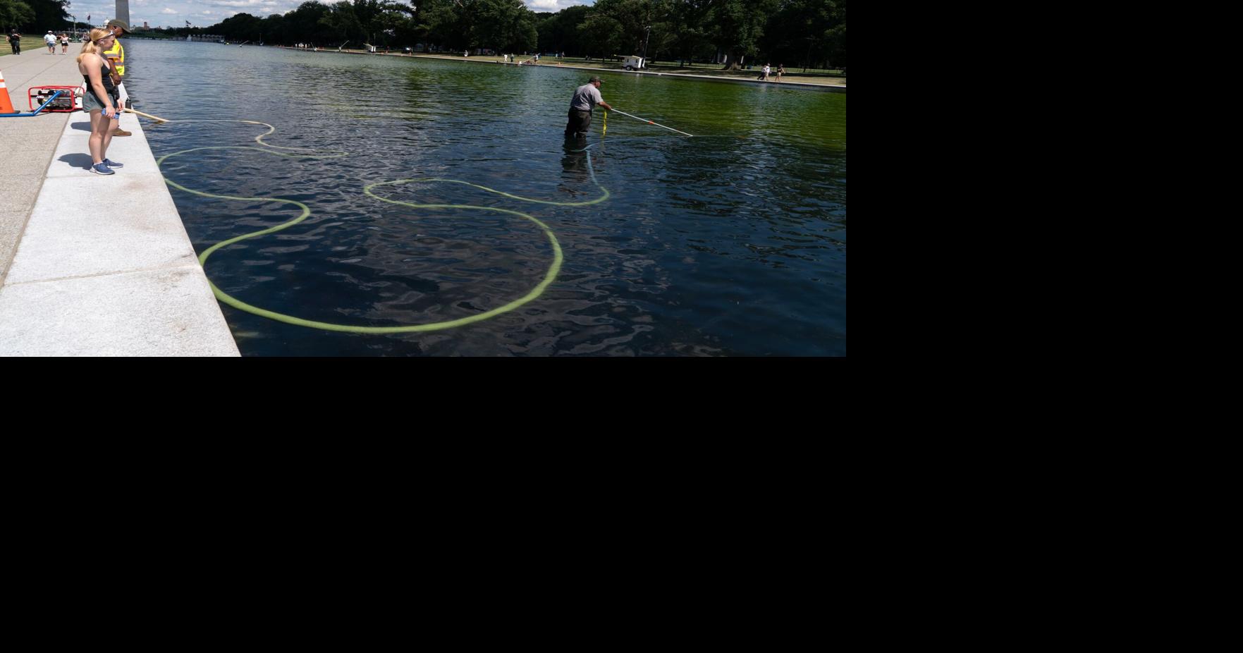 Lincoln Memorial Reflecting Pool | Ap | rutlandherald.com
