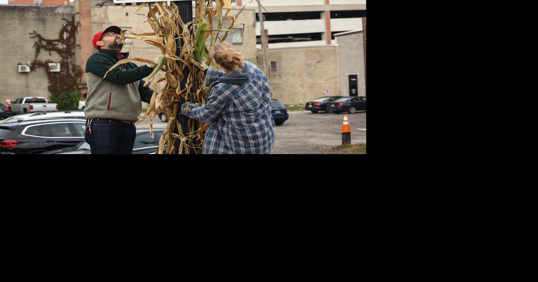 Signs of fall | Snapshots | rutlandherald.com