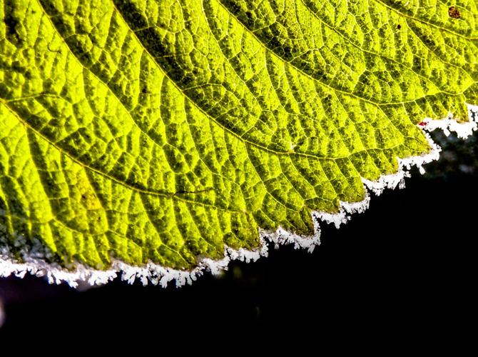 ‘Water, Ice, Vapor: The Wonder of Water’: John Snell takes ‘the time to ...