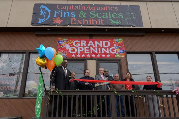 Captain Aquatics Fins and Scales finds a permanent home in Rutland ...
