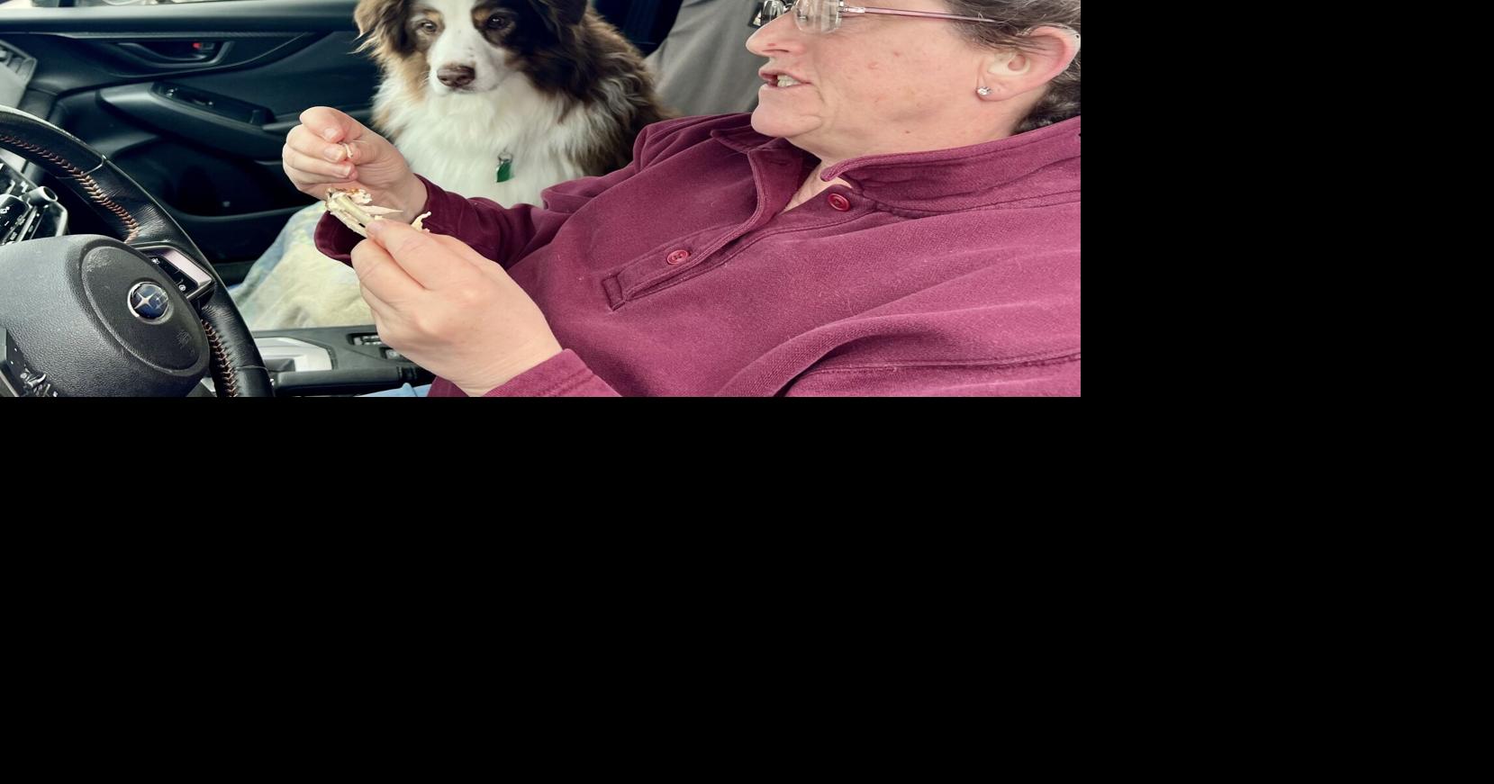 Lunch date | Snapshots | rutlandherald.com