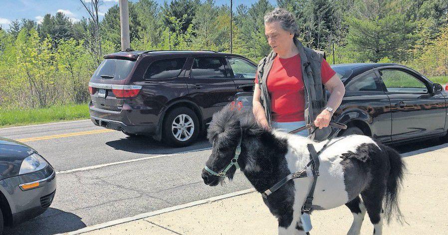 Blind woman nurses pal back to health | | rutlandherald.com