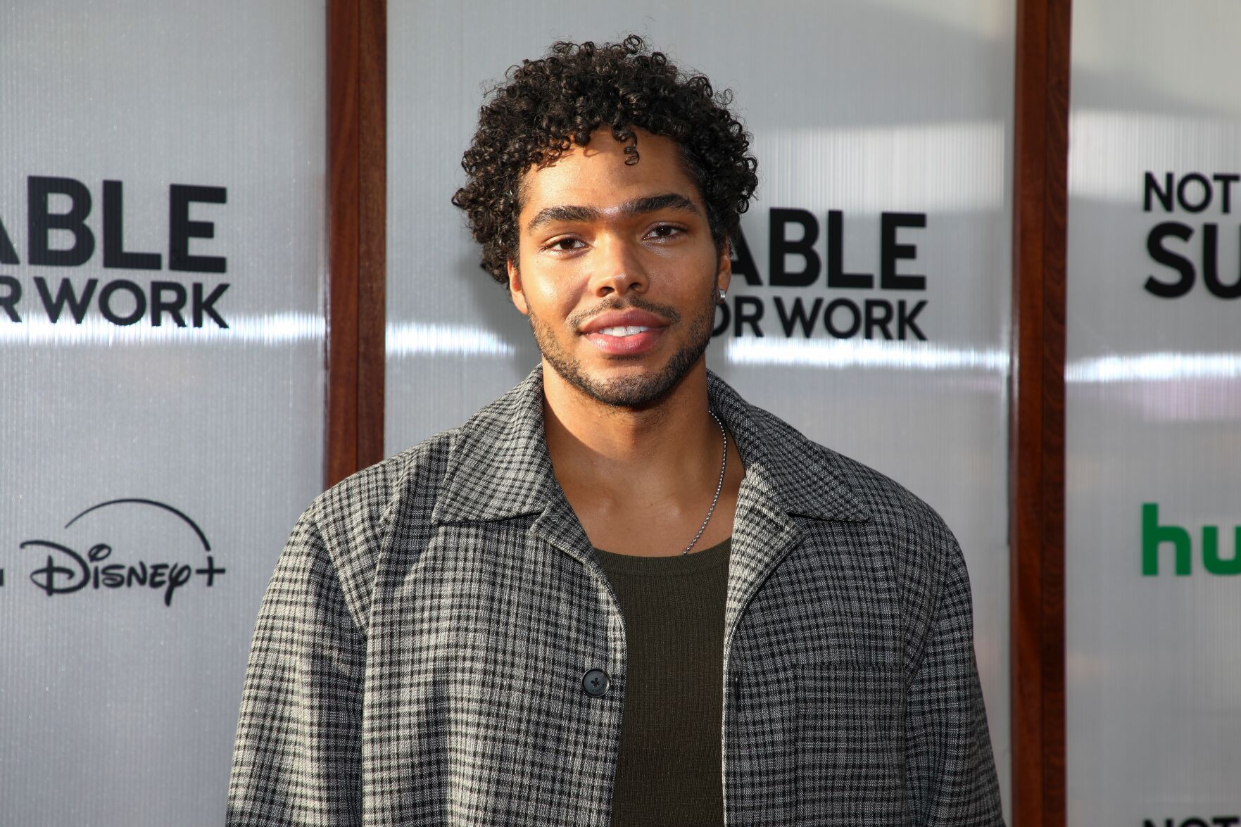 NY Premiere of "Not Suitable for Work" | Ap | rutlandherald.com
