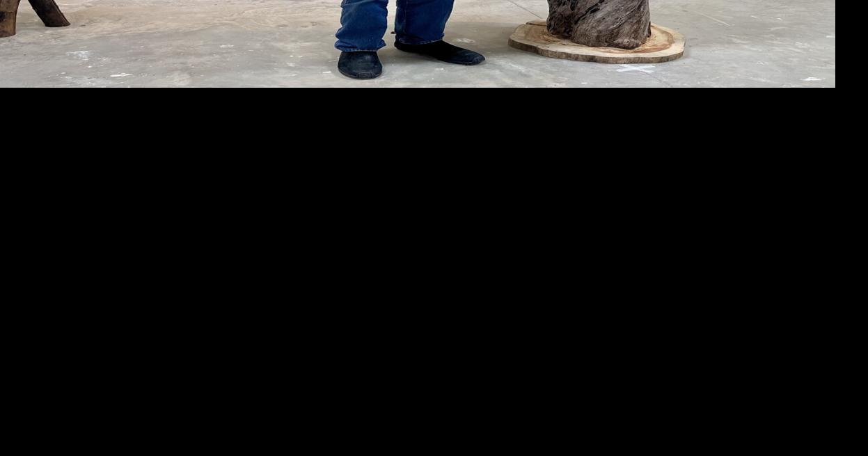 Old growth – new forms: New work by Bill Botzow | Vermont Arts ...