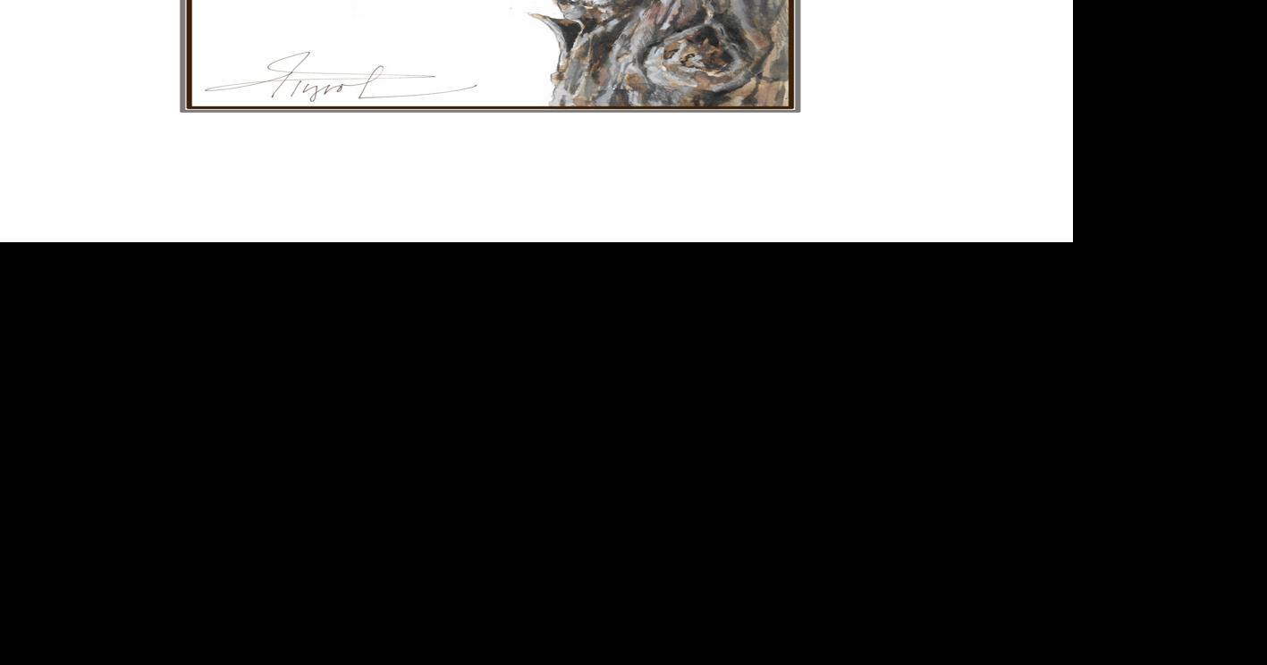 The Outside Story: Black locust, an invasive with roots? | Weekend ...