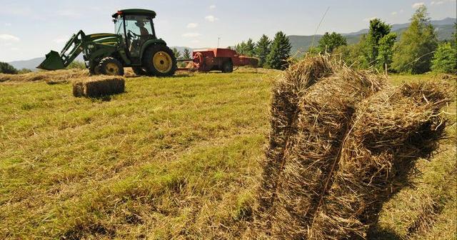 Poor hay has farmers worried around Vermont | News | rutlandherald.com