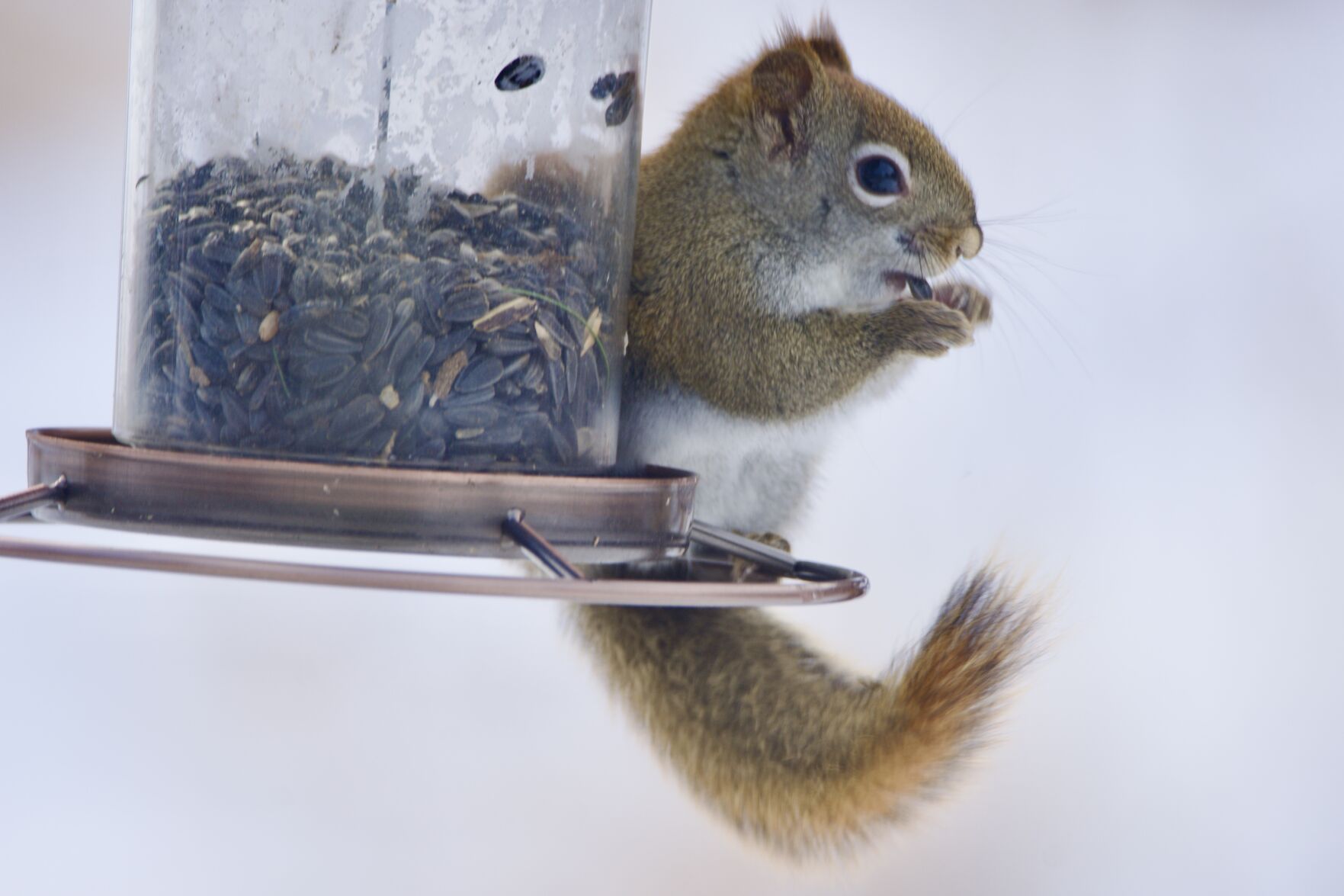 Cold Plate | Slider | rutlandherald.com