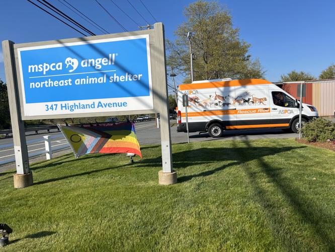 Special delivery | Local News | salemnews.com