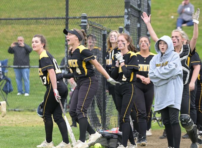 Fast Pitches softball column: Fenwick hosting tournament to honor Shann ...
