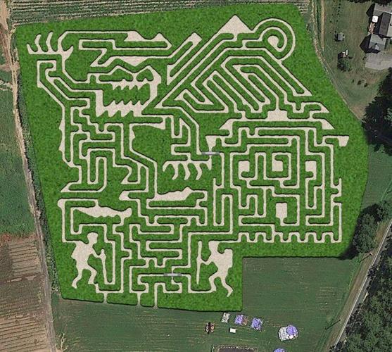Get lost in local corn mazes that open this weekend | Lifestyles ...