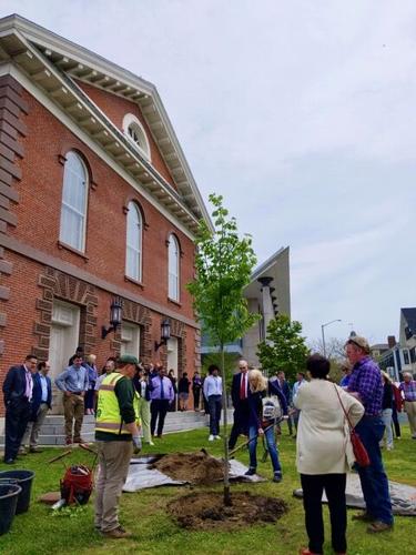 Salem plants 1,000th Century Tree | News | salemnews.com