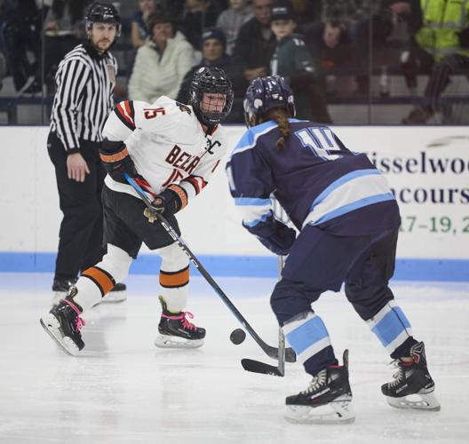 Kick Saves girls hockey column: Numerical nuggets help tell the story ...