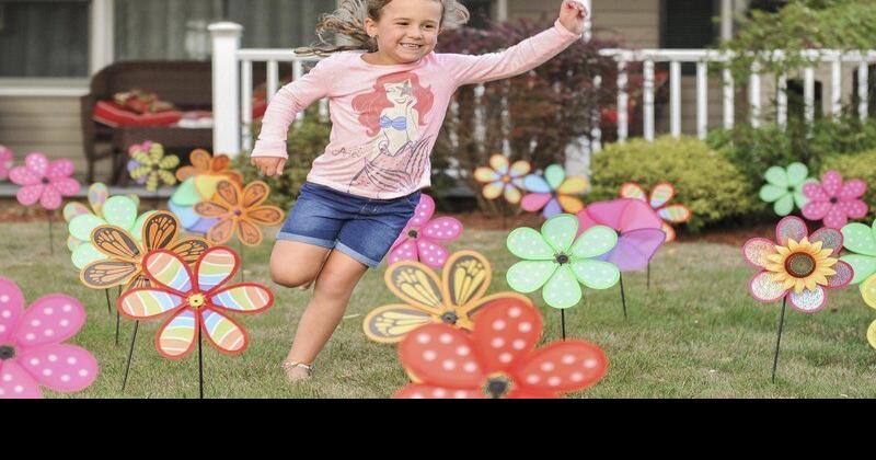 Pinwheel gardens grow donations for Cancer Walk | Local News ...