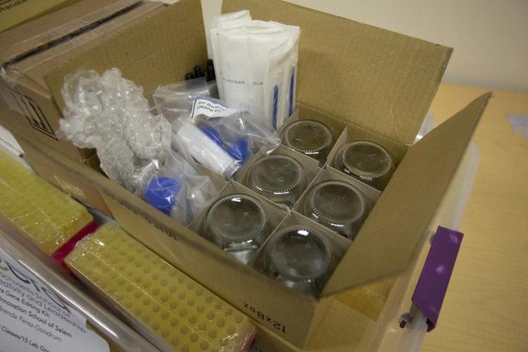 Gene editing technology comes to Salem school | Local News | salemnews.com