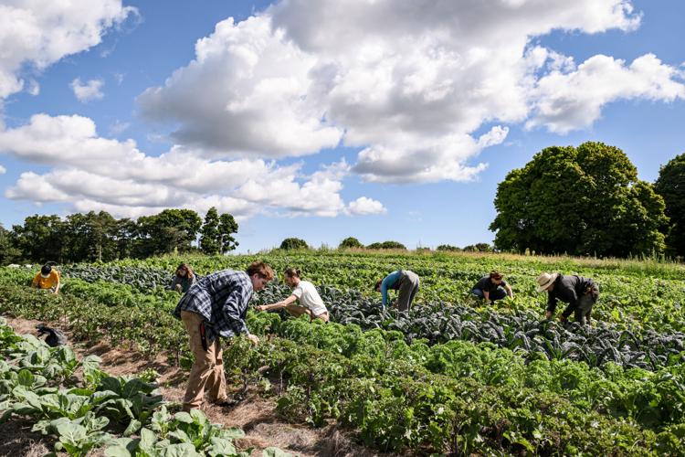 Three Sisters food access farm expanding to Wenham | News | salemnews.com