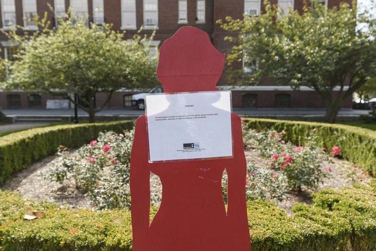 Silent Witness Project | | salemnews.com