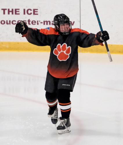 Northeastern Hockey League all-stars announced | Sports | salemnews.com