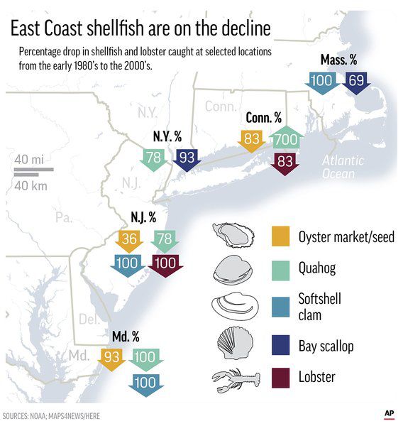 Warming hurting shellfish, aiding predators, ruining habitat | Local ...