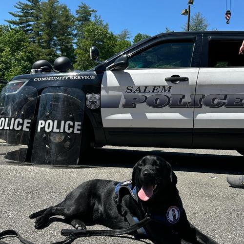 K9 officer, comfort dog honored by Boys & Girls Club | North Of Boston ...