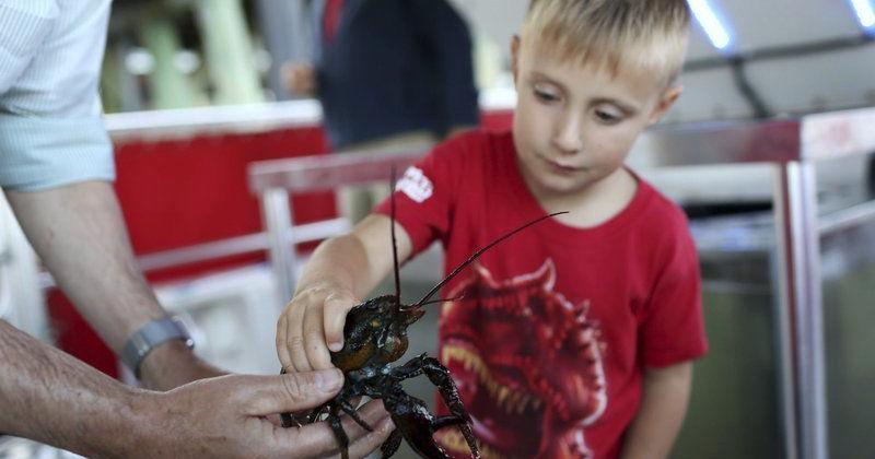 Beverly Harbor Fest set for Sept. 11 | News | salemnews.com