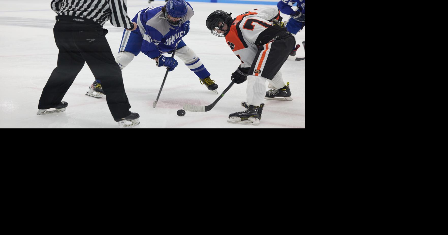 The Blue Line Report: Is it inevitable we'll see local public school ...