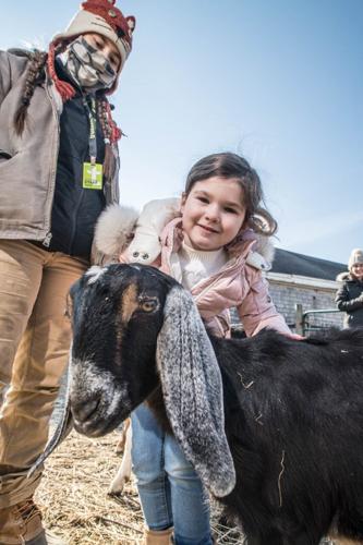 Barnyard Story Hour at Appleton Farms | Salem News Art Stars ...