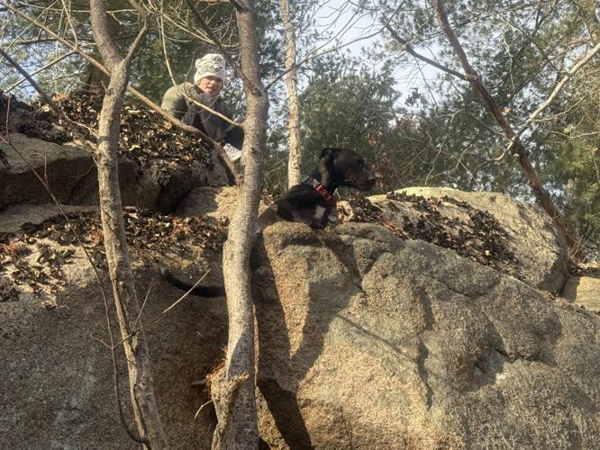 The miraculous tale of Tavi's return | North Of Boston | salemnews.com
