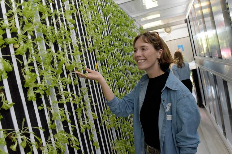 Students growing vegetables in hydroponic Freight Farm | News ...