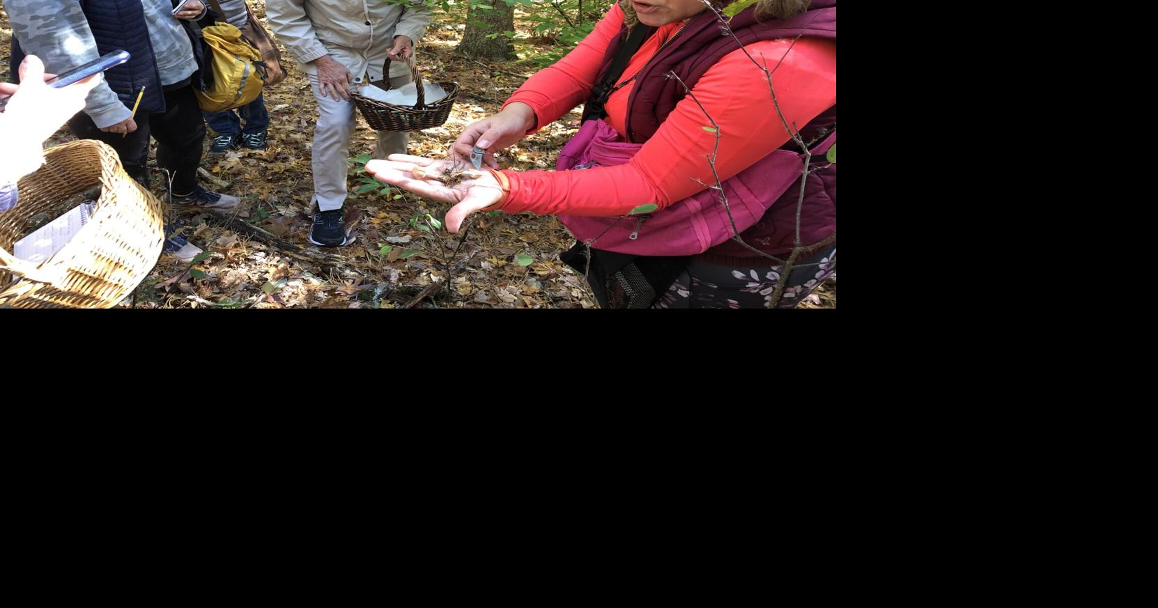 Local fungi expert helps residents discover the bounty in their ...