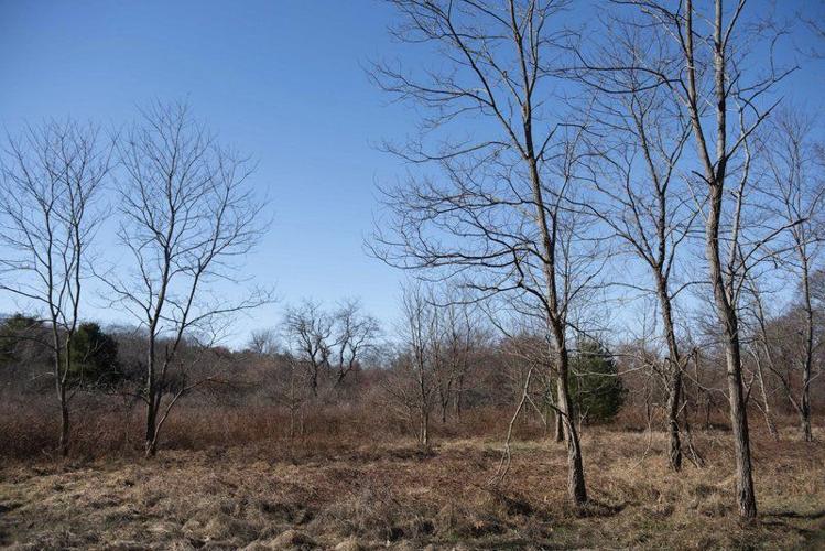 Trailblazer: Runner seeks new running trail at Beverly's Sally Milligan ...