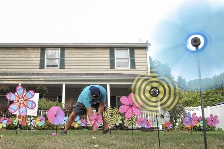 Pinwheel gardens grow donations for Cancer Walk | Local News ...