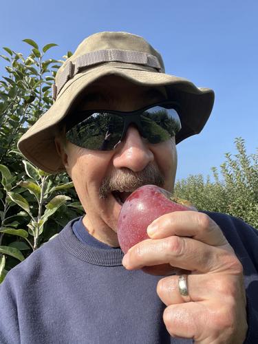 Jerry Zezima: How do you like them apples? | News | salemnews.com