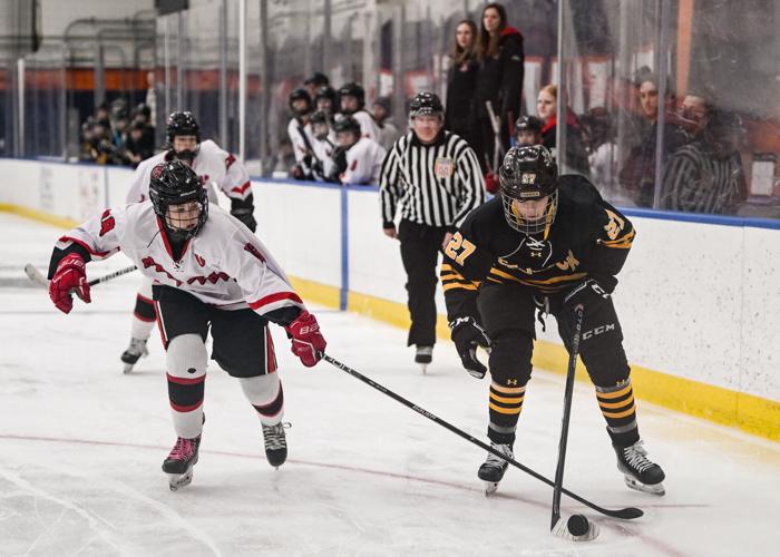 Kick Saves girls hockey column: Numerical nuggets help tell the story ...