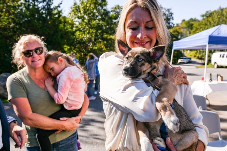 Cape Ann Animal Aid breaks ground on new Wing of Hope | News ...